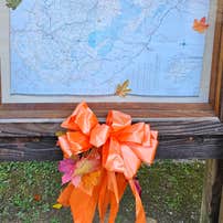 Holly River State Park Campground | Hacker Valley, West Virginia