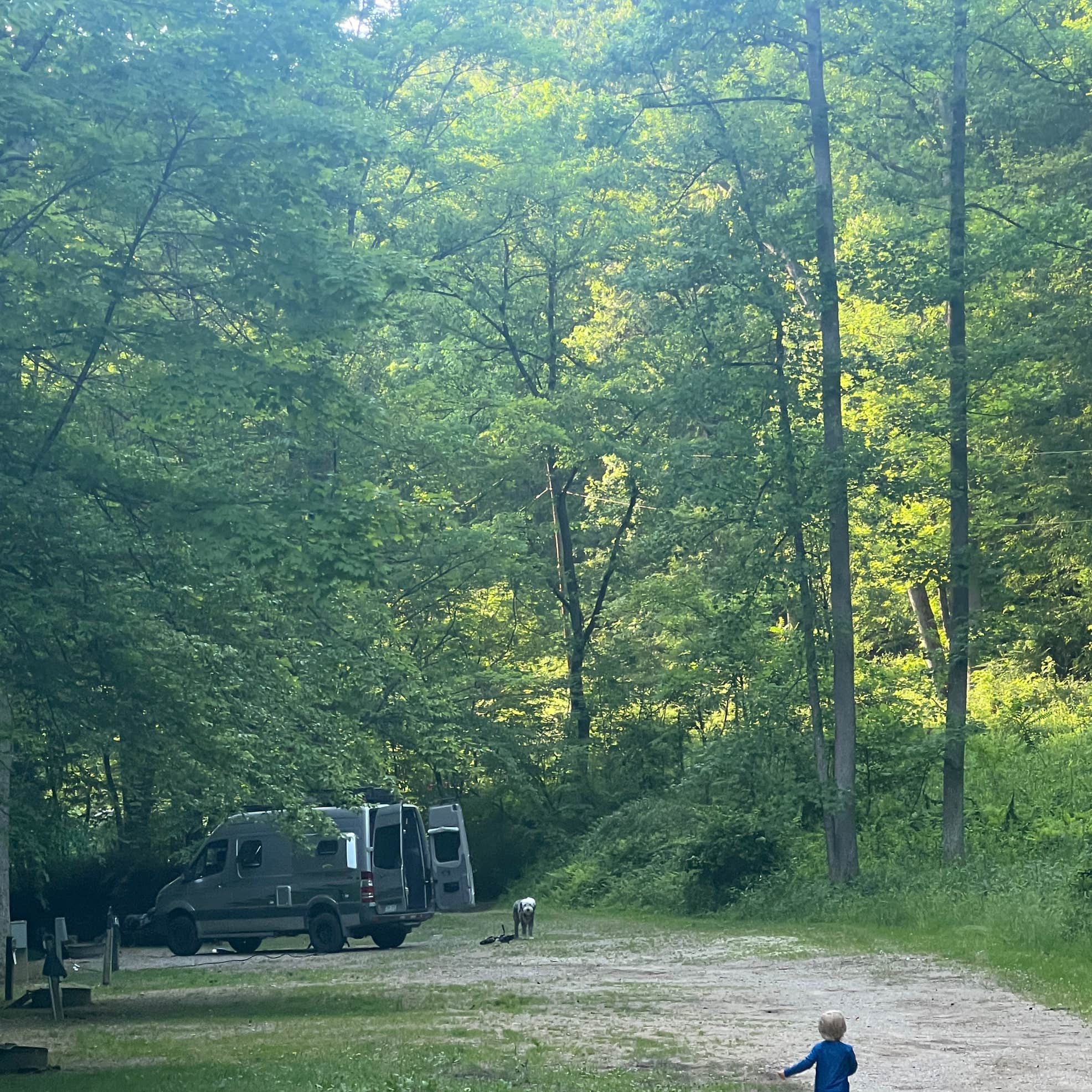 Kanawha State Forest Camping | Hernshaw, West Virginia