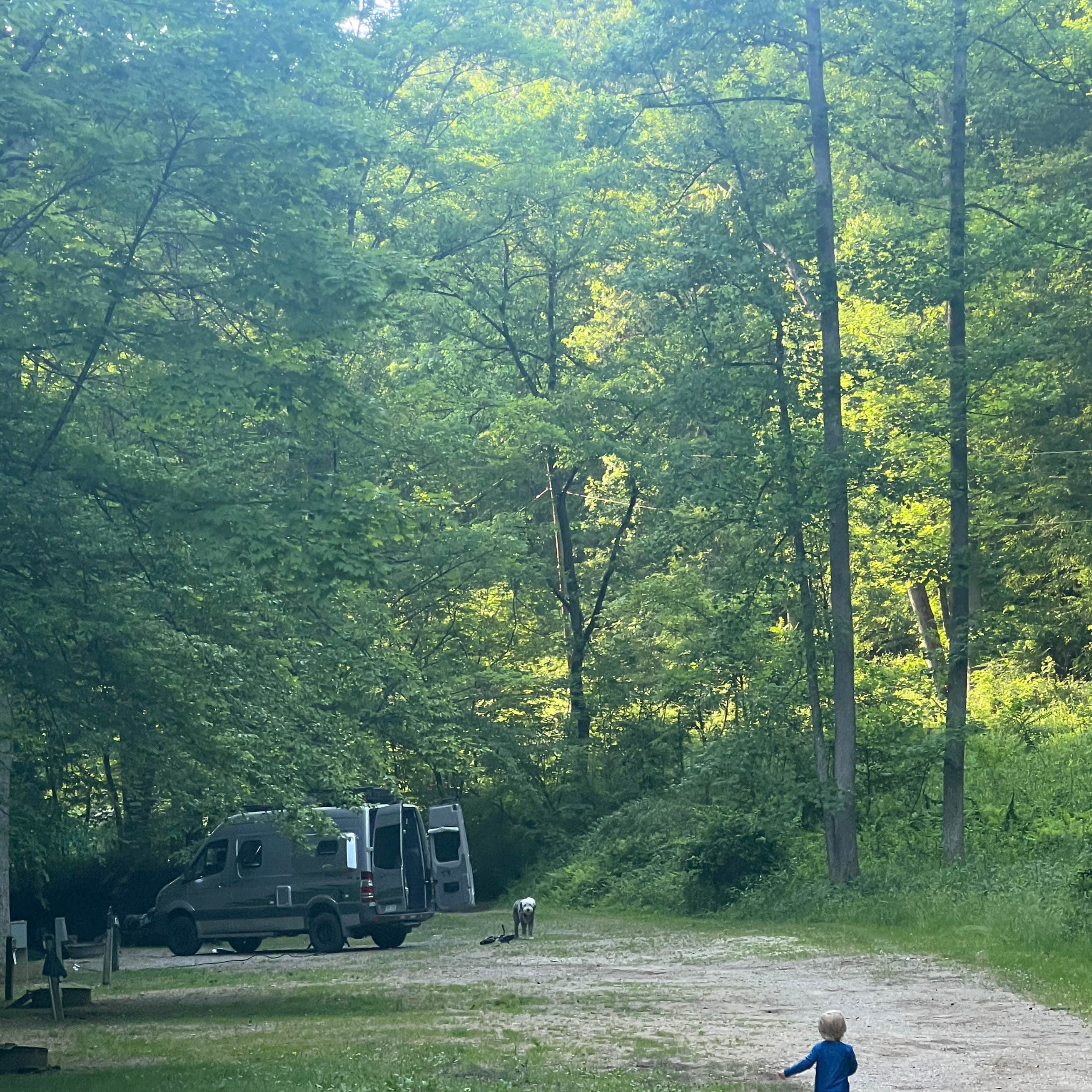 Kanawha State Forest Camping | Hernshaw, West Virginia