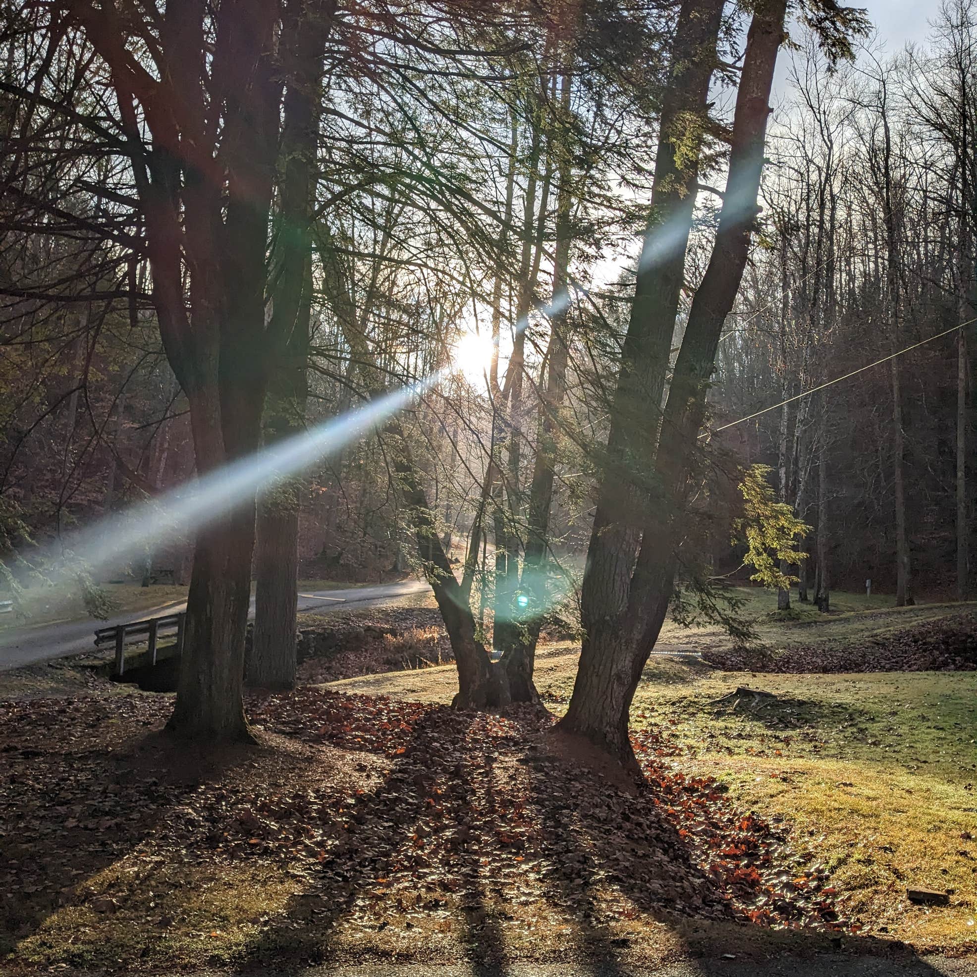 Kanawha State Forest Camping | Charleston, WV