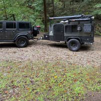 Kanawha State Forest Camping | Hernshaw, West Virginia