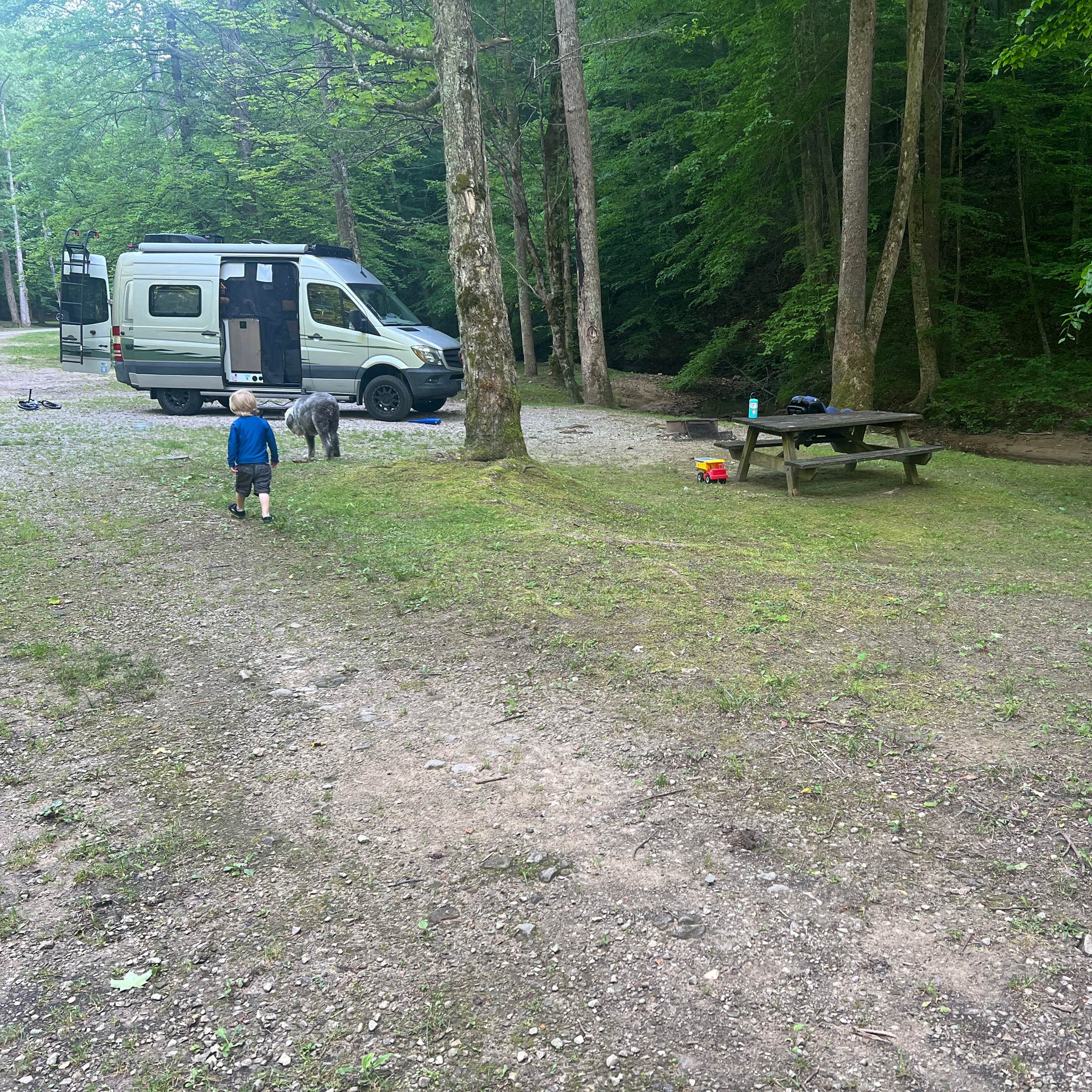 Kanawha State Forest Camping | Hernshaw, West Virginia