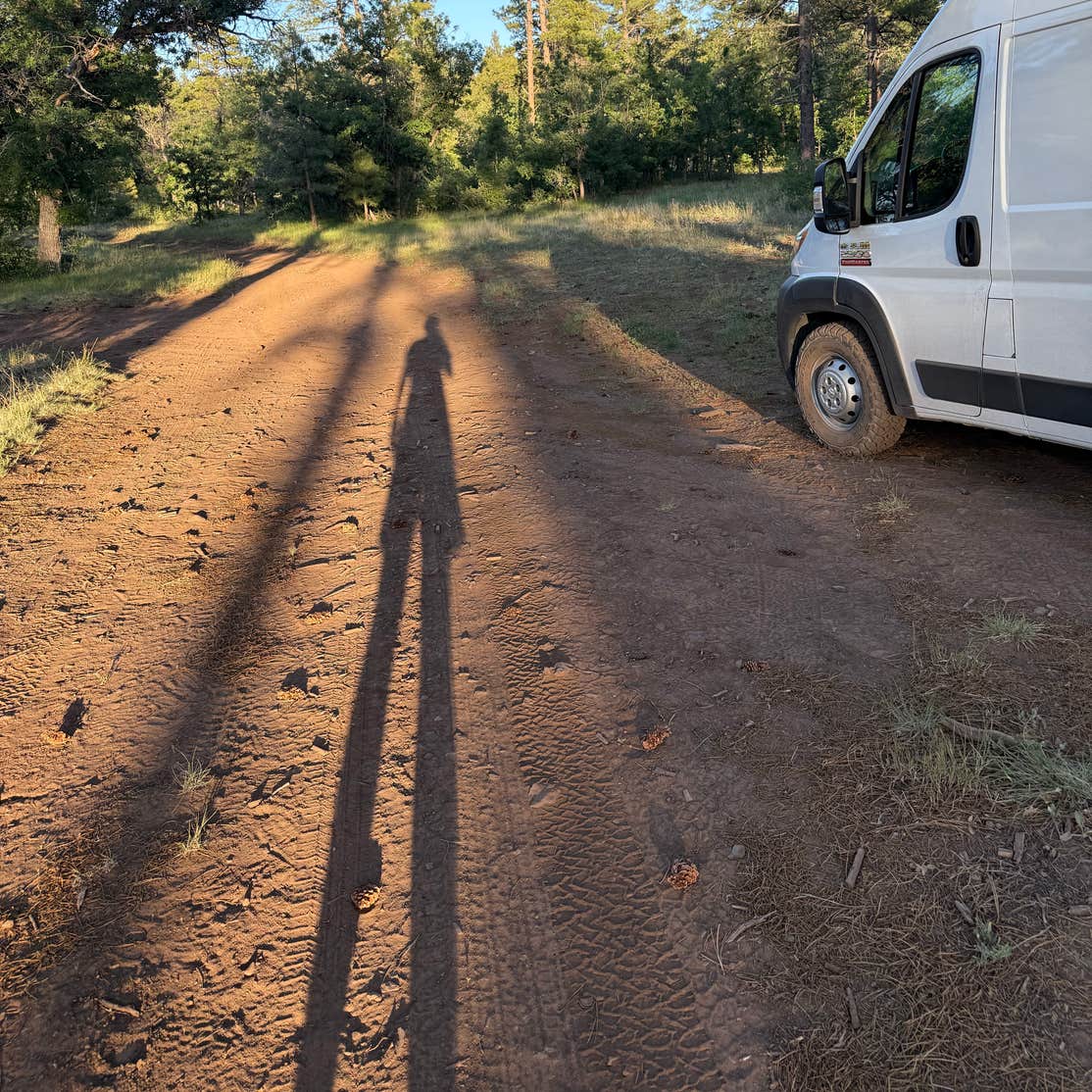 West Wiemer Springs Road Mormon Lake Dispersed Camping | Mormon Lake ...