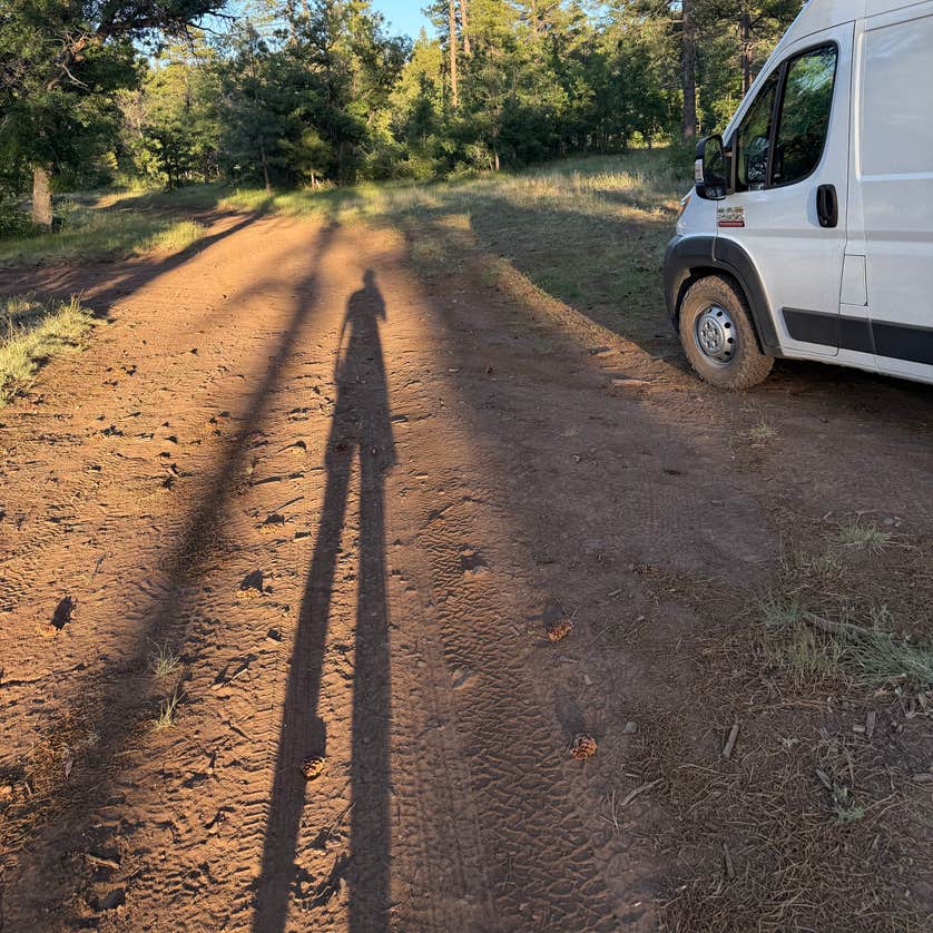 West Wiemer Springs Road Mormon Lake Dispersed Camping | Mormon Lake ...