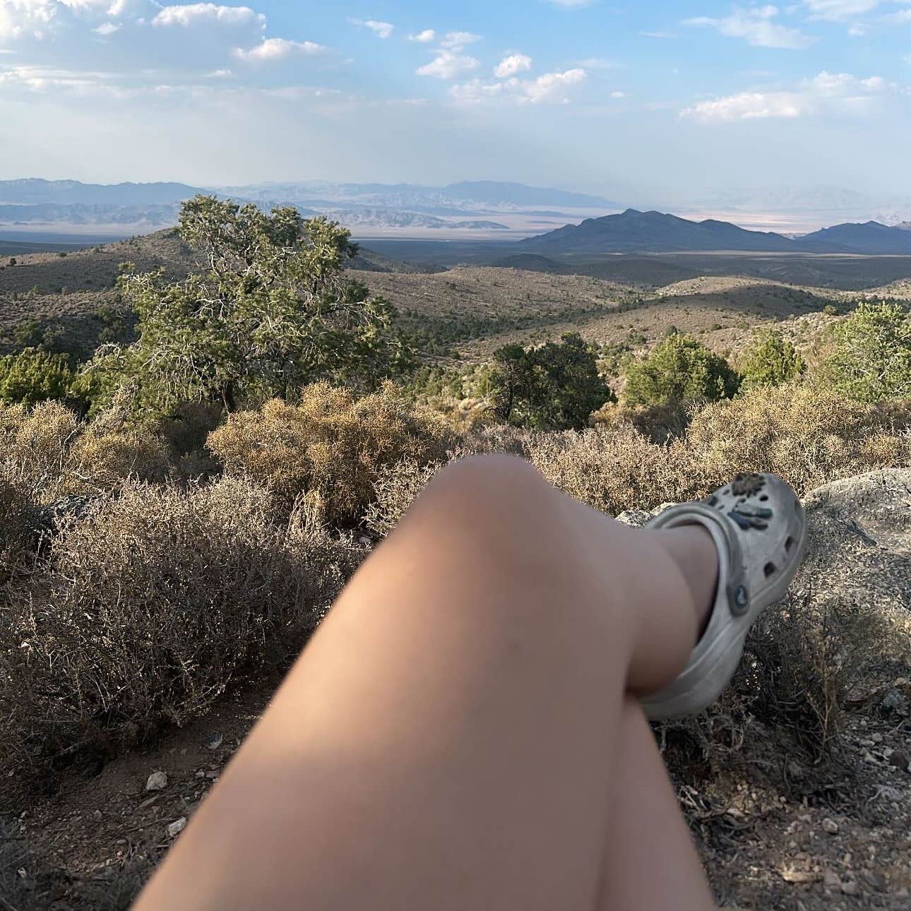 Wheeler Pass Rd Dispersed Camp | Indian Springs, Nevada
