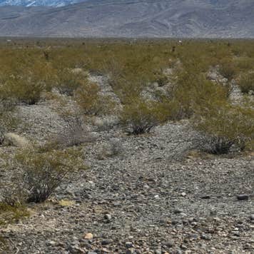 Wheeler Pass Camping | Pahrump, Nevada