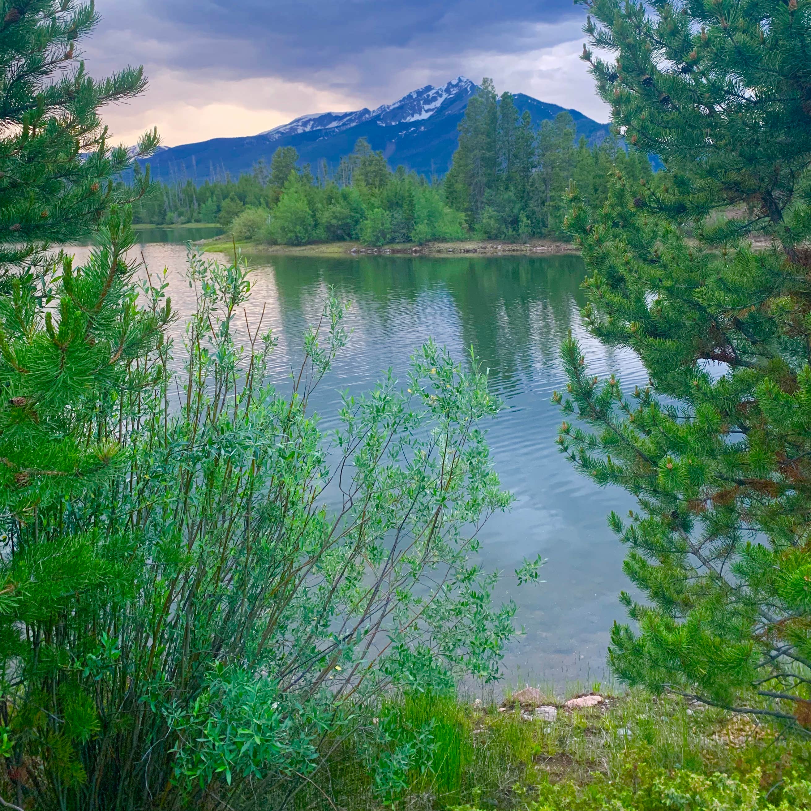 White River National Forest Heaton Bay Campground | Frisco, Colorado