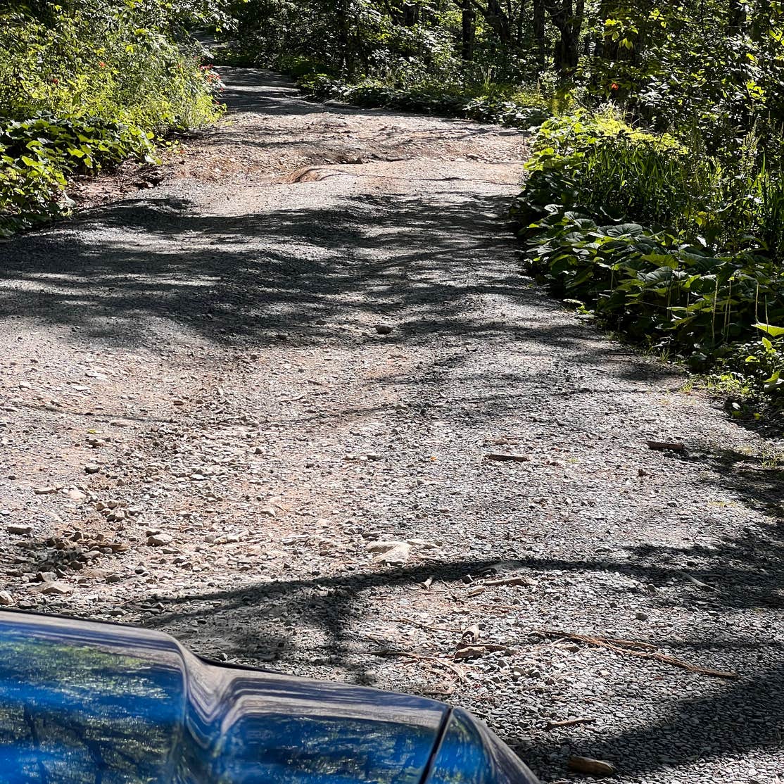 Whitetop Camping | Whitetop, Virginia