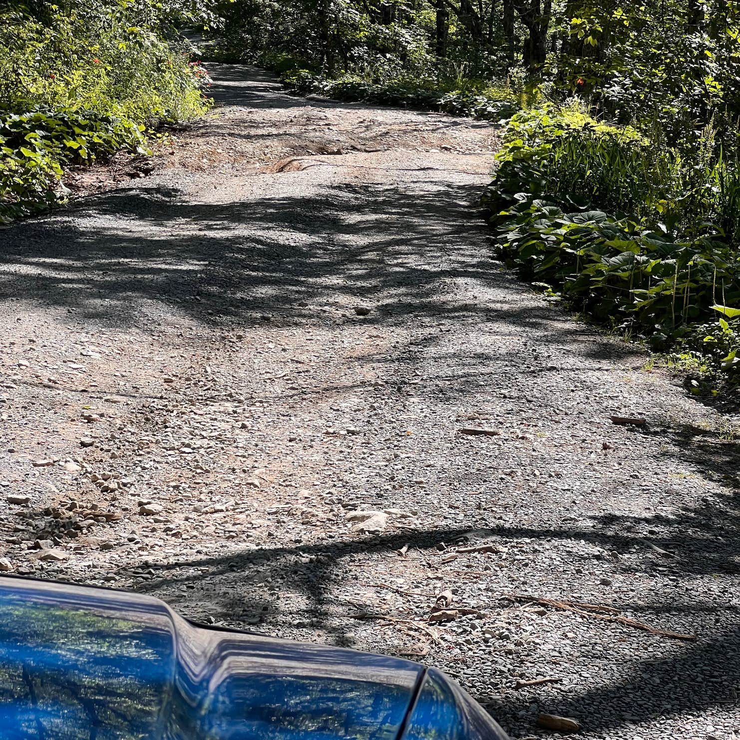 Whitetop Camping | Whitetop, Virginia