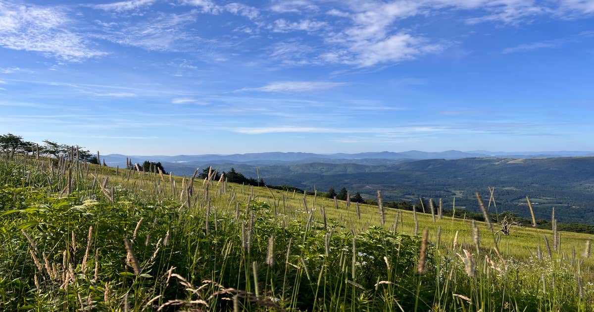 Whitetop Camping | Whitetop, Virginia