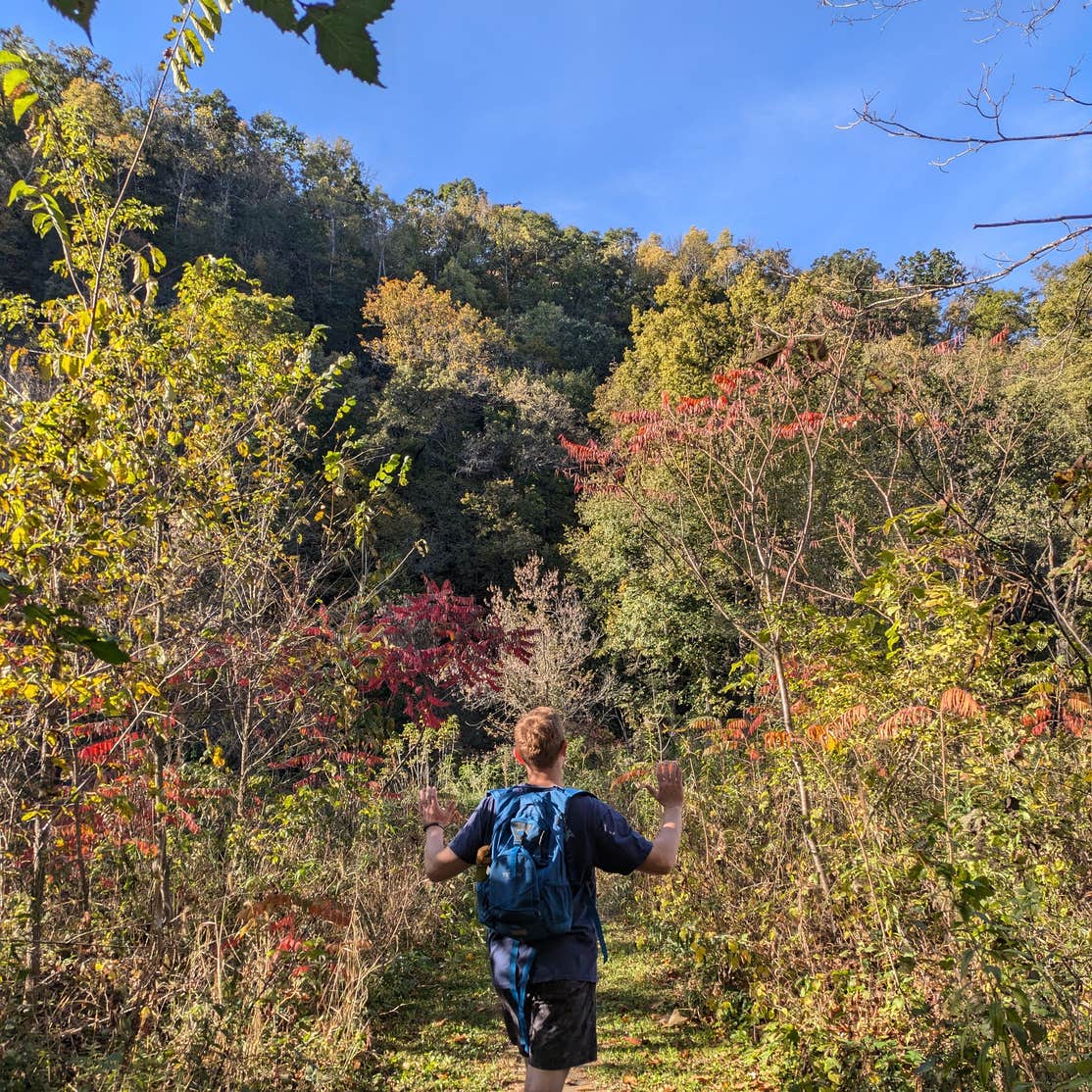 Gooseberry Glen Cart-in Campground — Whitewater State Park | Elba ...