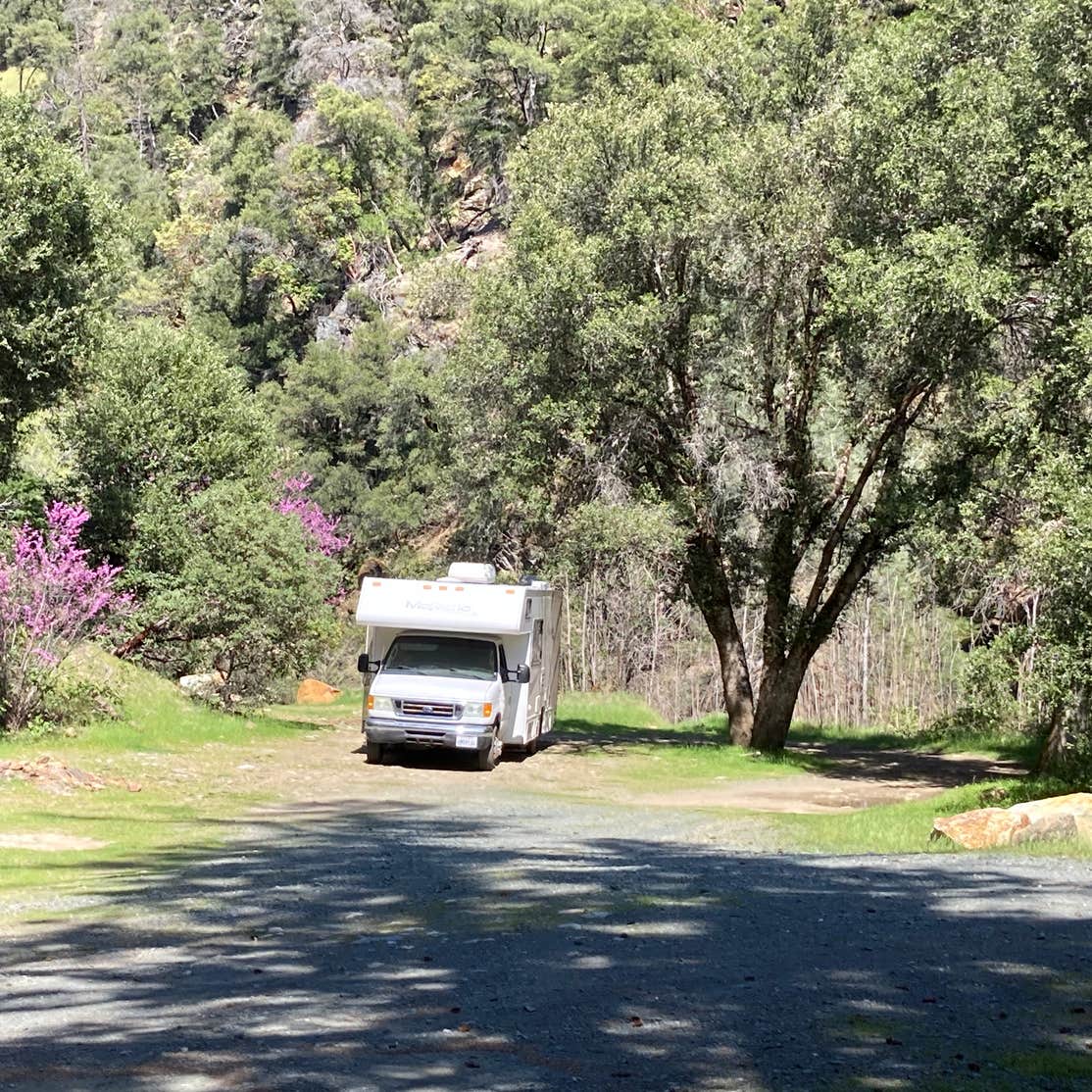Wild and Senic Trinity River Grapevine River Access Dispersed Site ...