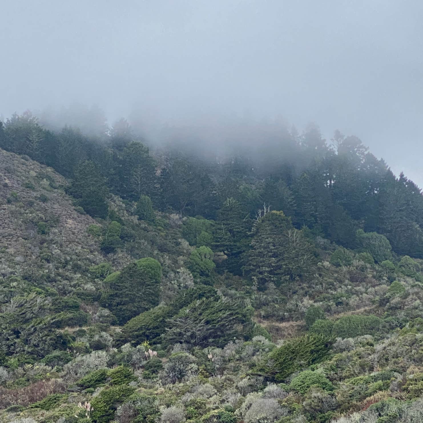Wildcat Campground — Point Reyes National Seashore | Raymond, CA