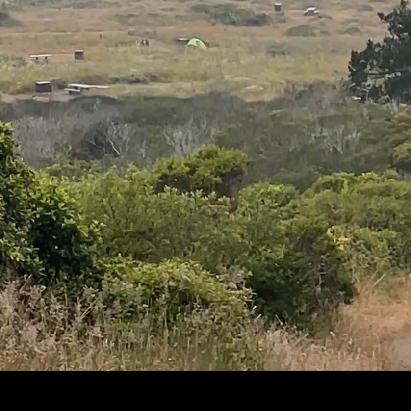 Wildcat Campground — Point Reyes National Seashore | Olema, California