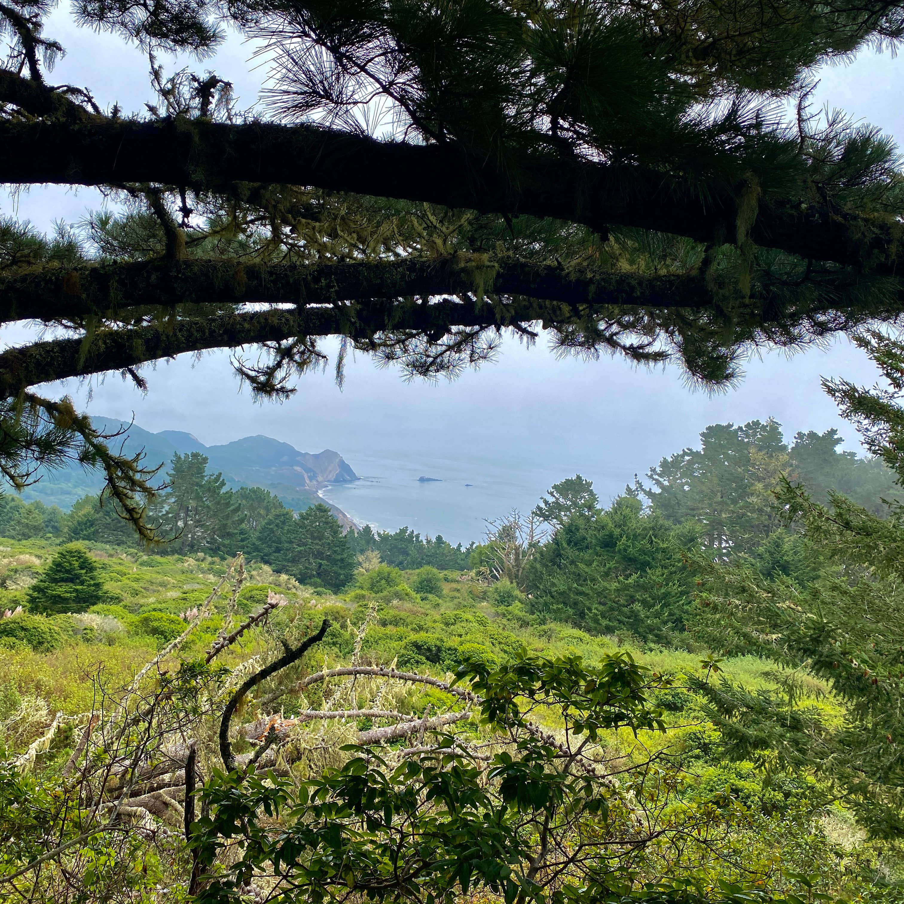 Wildcat Campground — Point Reyes National Seashore | Raymond, CA
