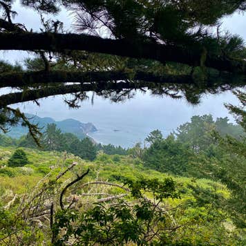 Wildcat Campground — Point Reyes National Seashore | Raymond, CA