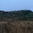 Wildcat Campground — Point Reyes National Seashore | Olema, California