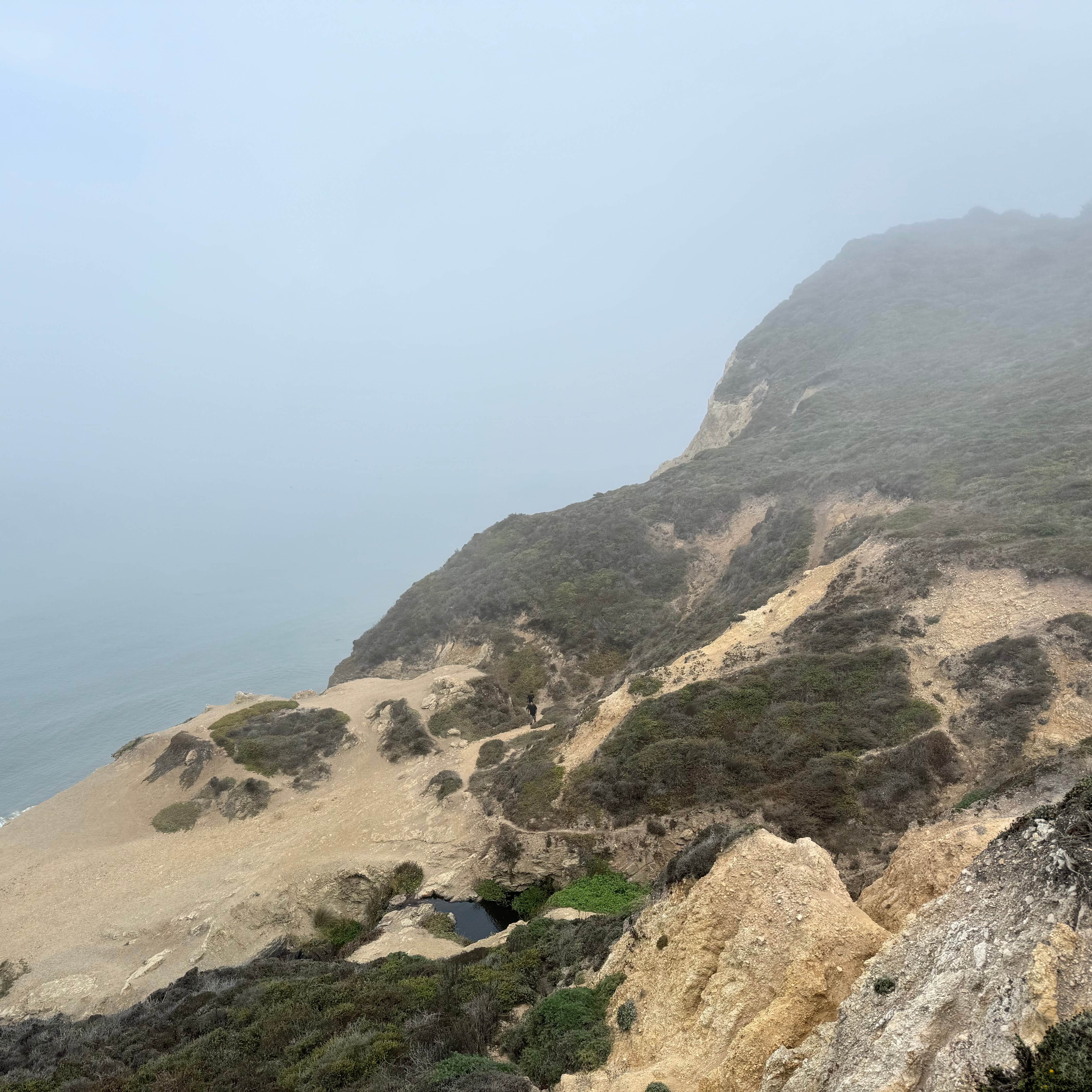Wildcat Campground — Point Reyes National Seashore | Olema, California