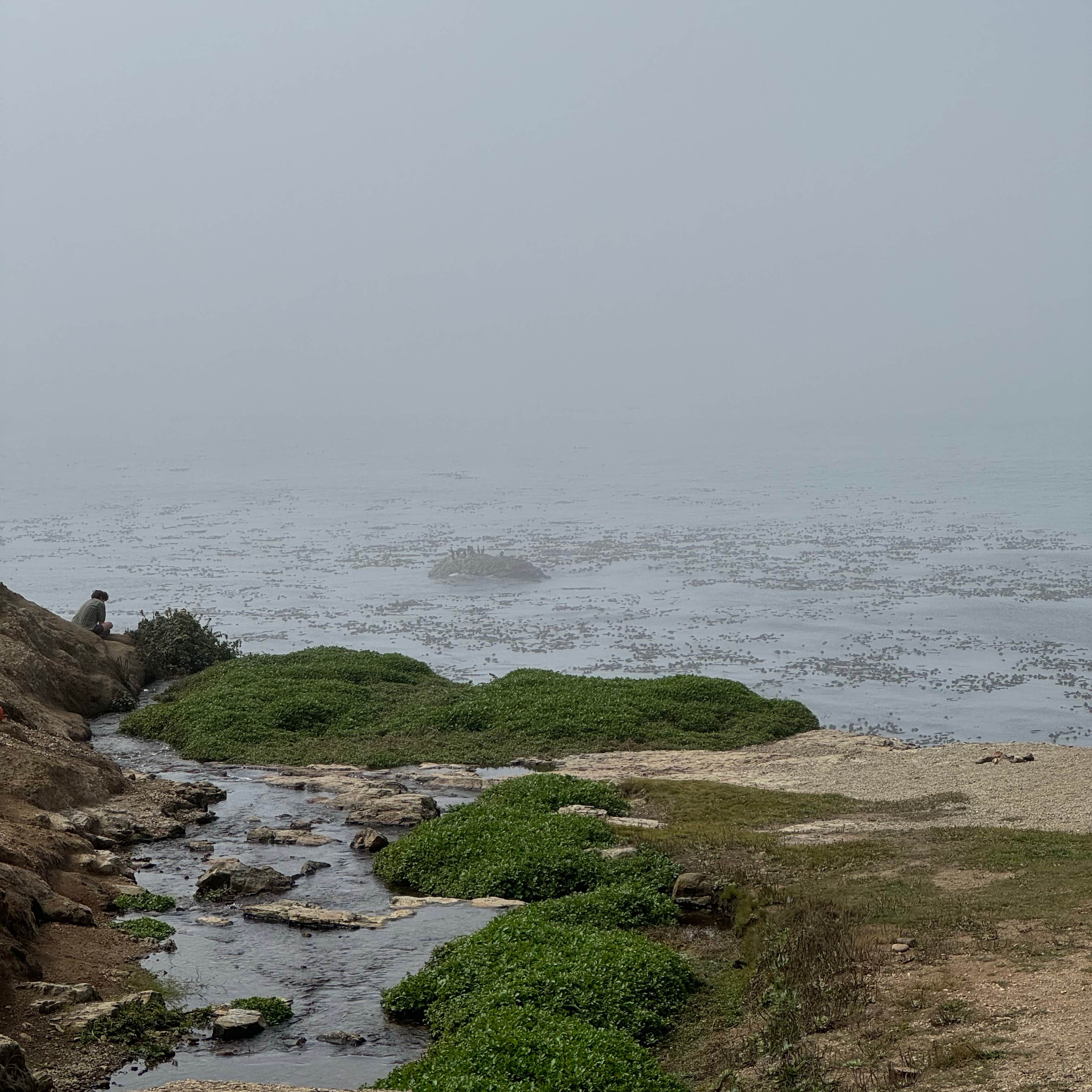 Wildcat Campground — Point Reyes National Seashore | Olema, California