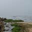 Wildcat Campground — Point Reyes National Seashore | Olema, California