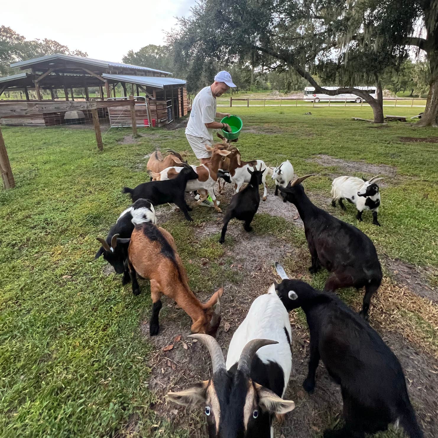 Wilderness Shores Ranch & RV/Tent Campground | Lakeland, FL