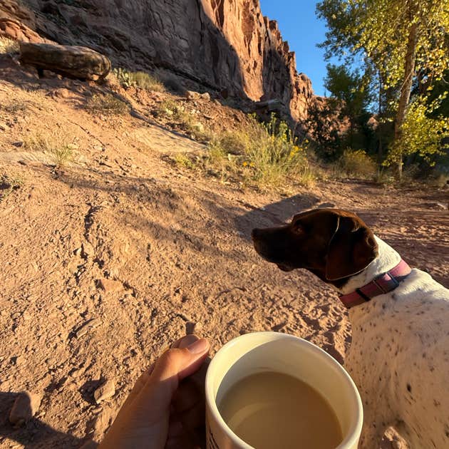 Williams Bottom Campground | Moab, Utah