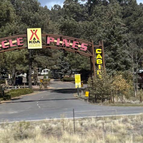 Williams-Circle Pines KOA Camping | Williams, Arizona