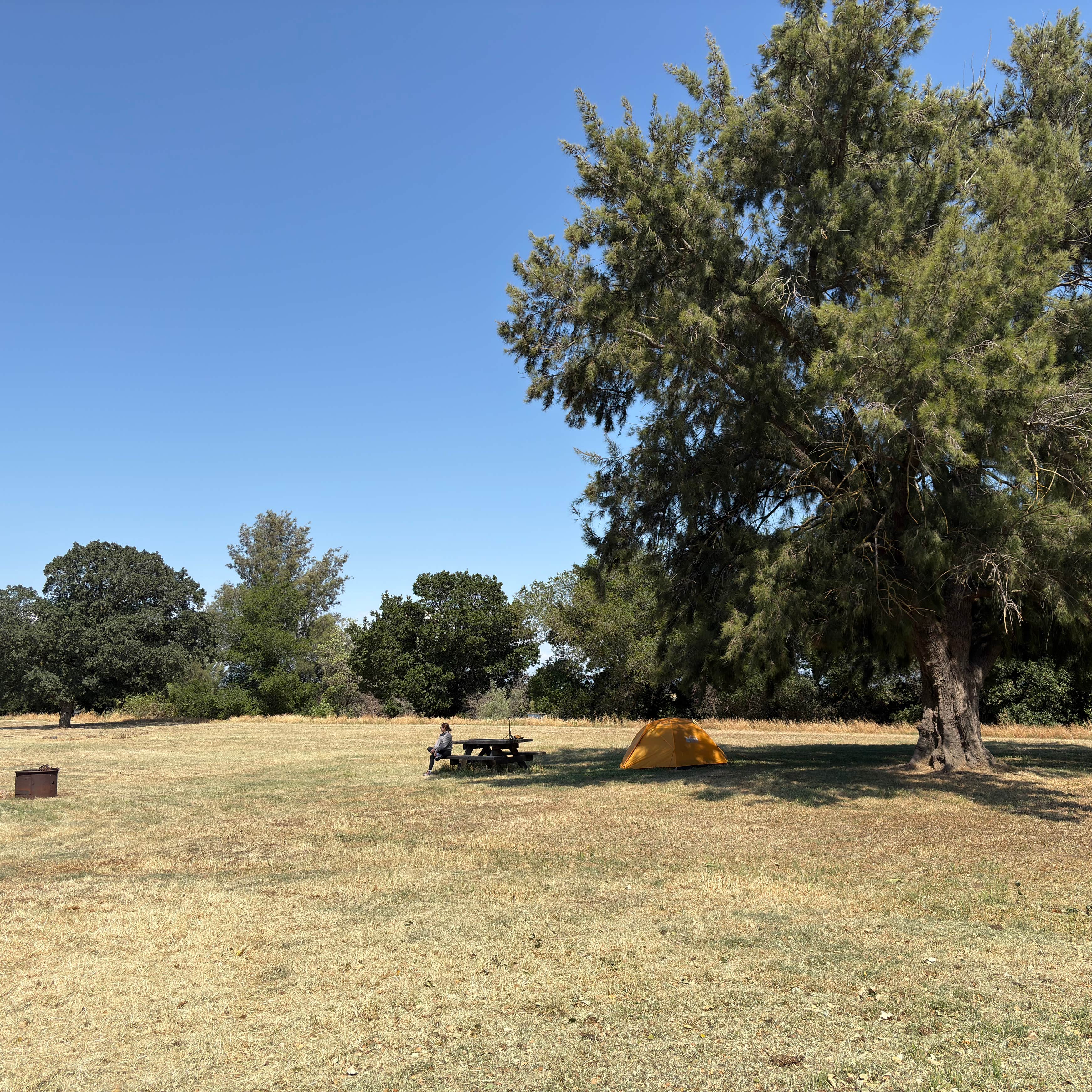 Willow Campground — Brannan Island State Recreation Area | Rio Vista ...
