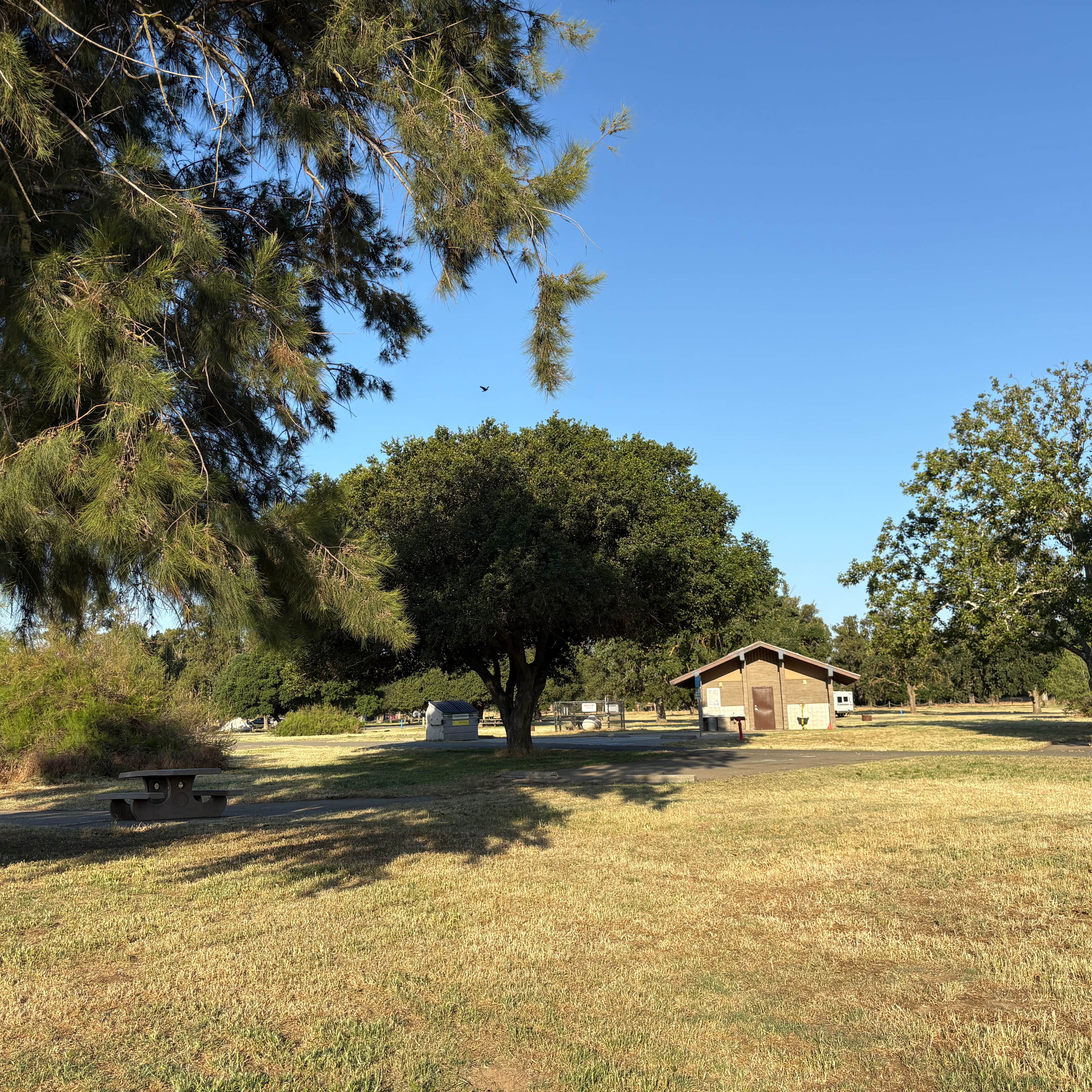 Willow Campground — Brannan Island State Recreation Area | Rio Vista ...