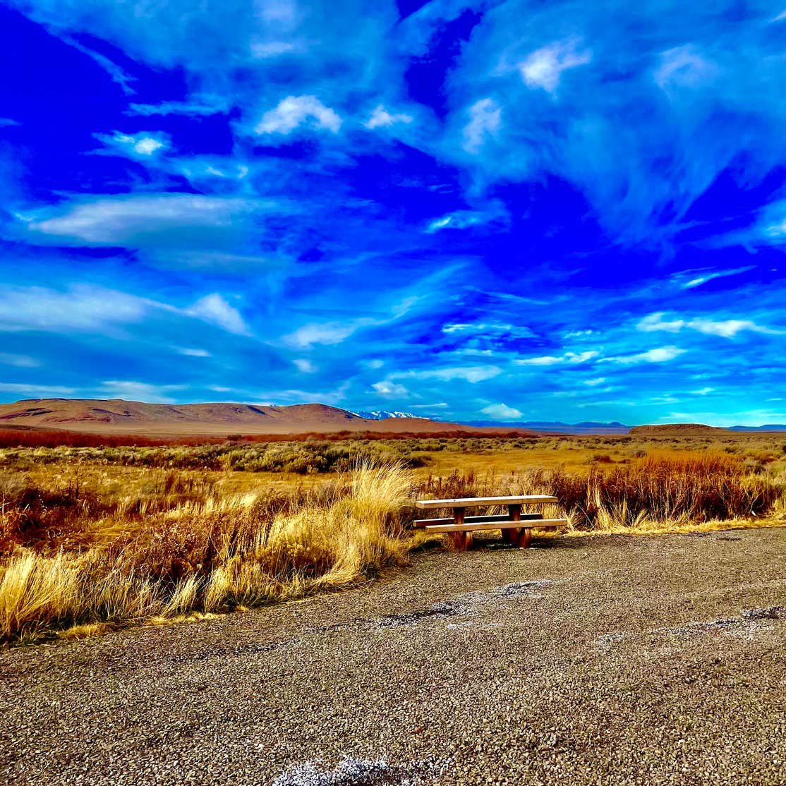 Willow Creek - Willow Creek Hot Springs Camping | Fields, OR