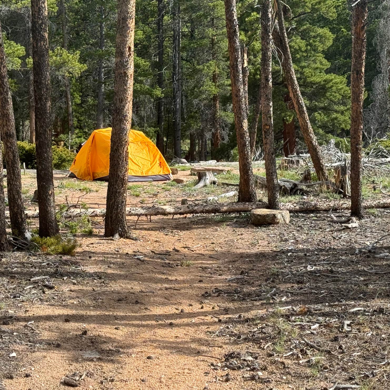 Wind River Bluff Camping | Estes Park, Colorado