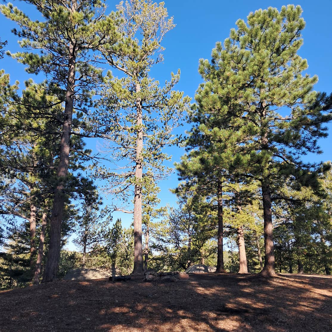 Winding Stairs Road Dispersed Site Camping | Palmer Lake, Colorado