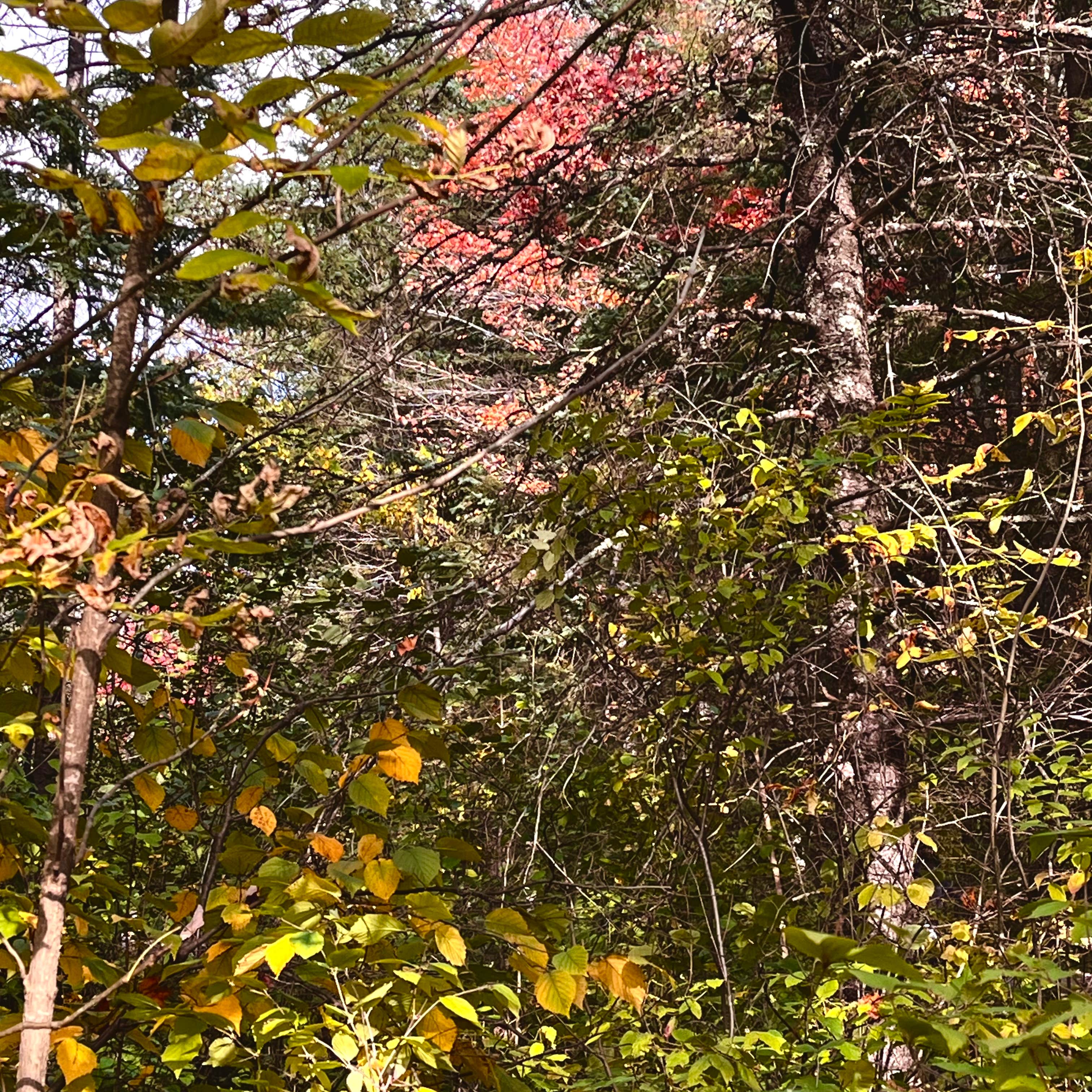 Amnicon Falls State Park Campground | South Range, Wisconsin