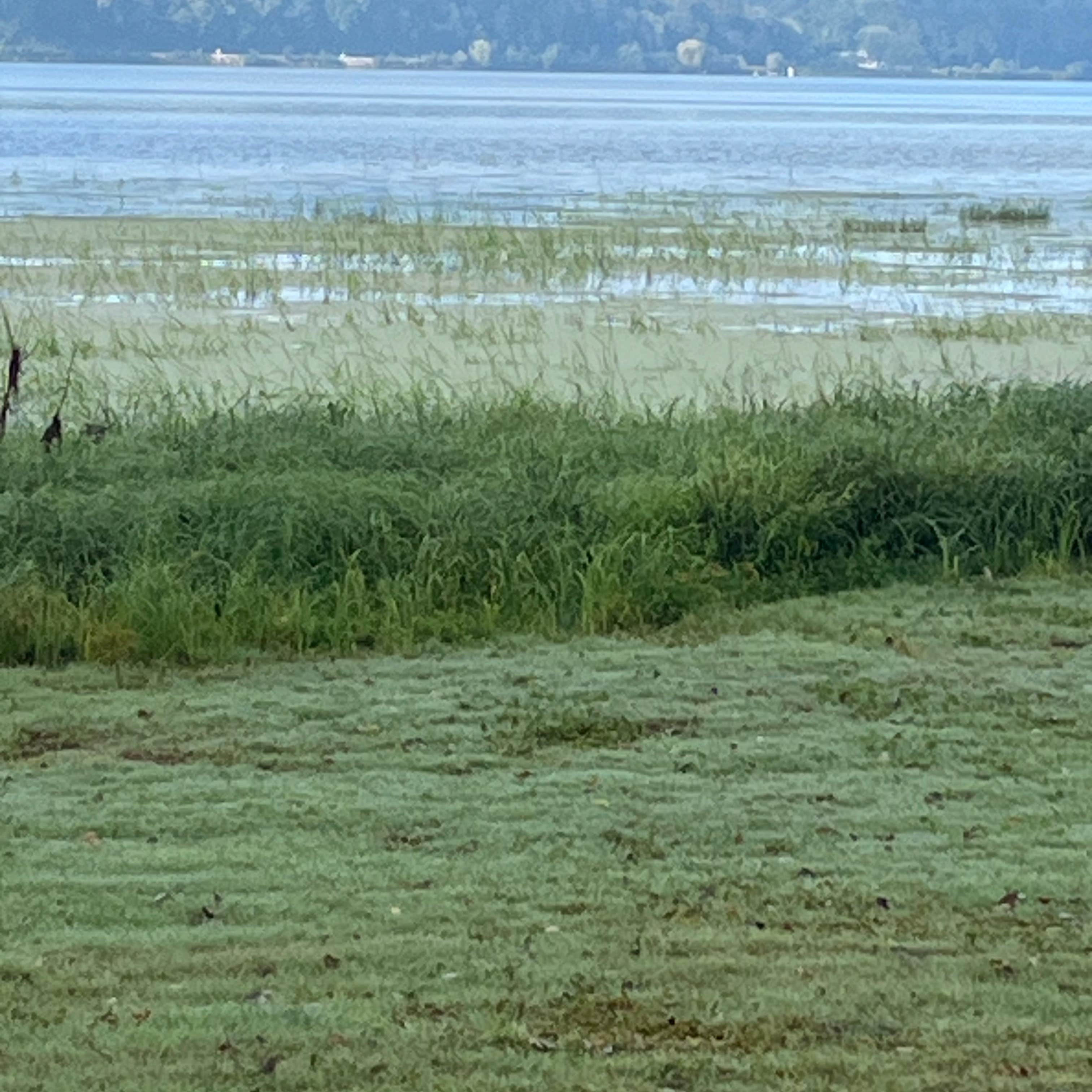 Grant River Recreation Area Camping | Dubuque, Iowa