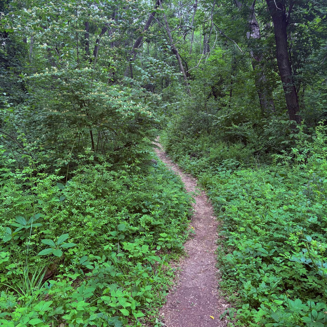Ottawa Lake Campground — Kettle Moraine State Forest-Southern Unit ...
