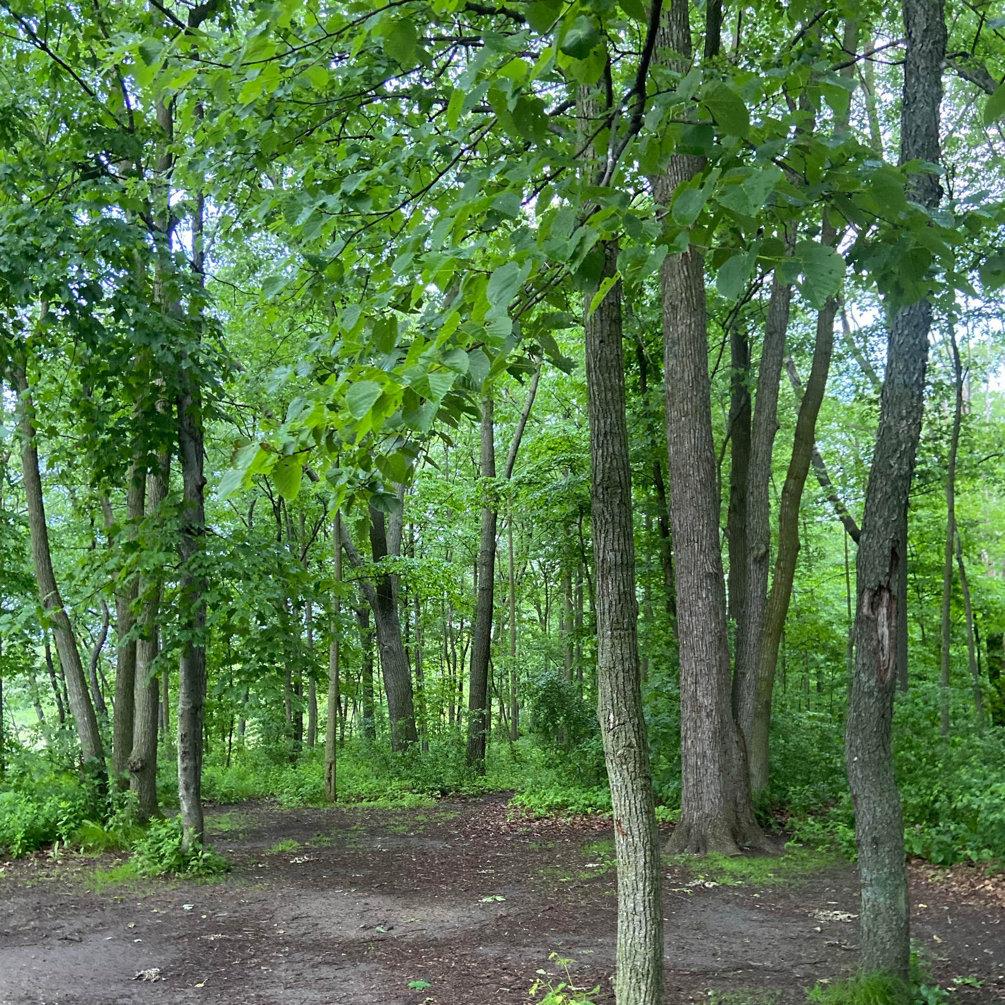 Ottawa Lake Campground — Kettle Moraine State Forest-Southern Unit ...