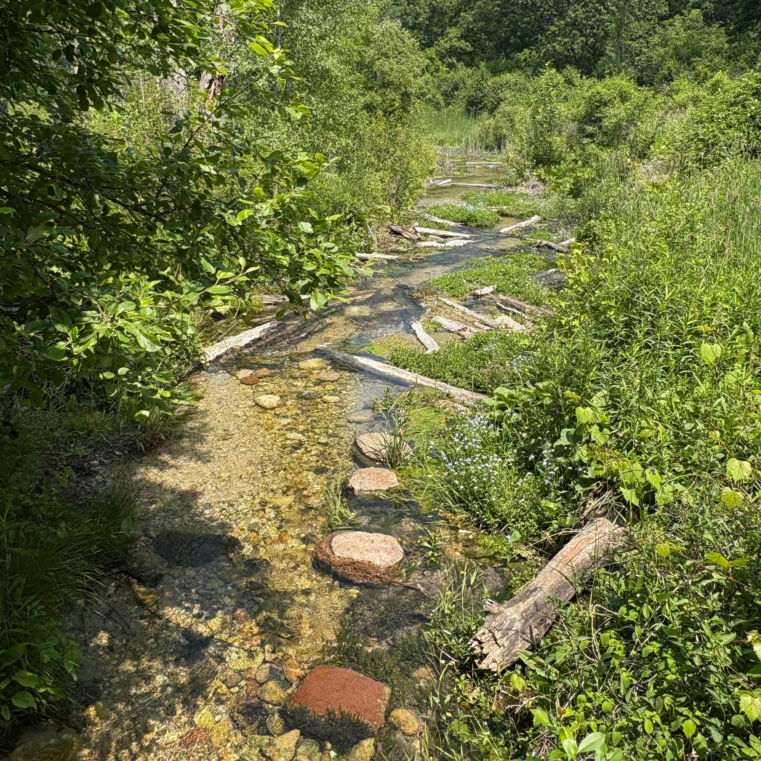 Ottawa Lake Campground — Kettle Moraine State Forest-Southern Unit ...
