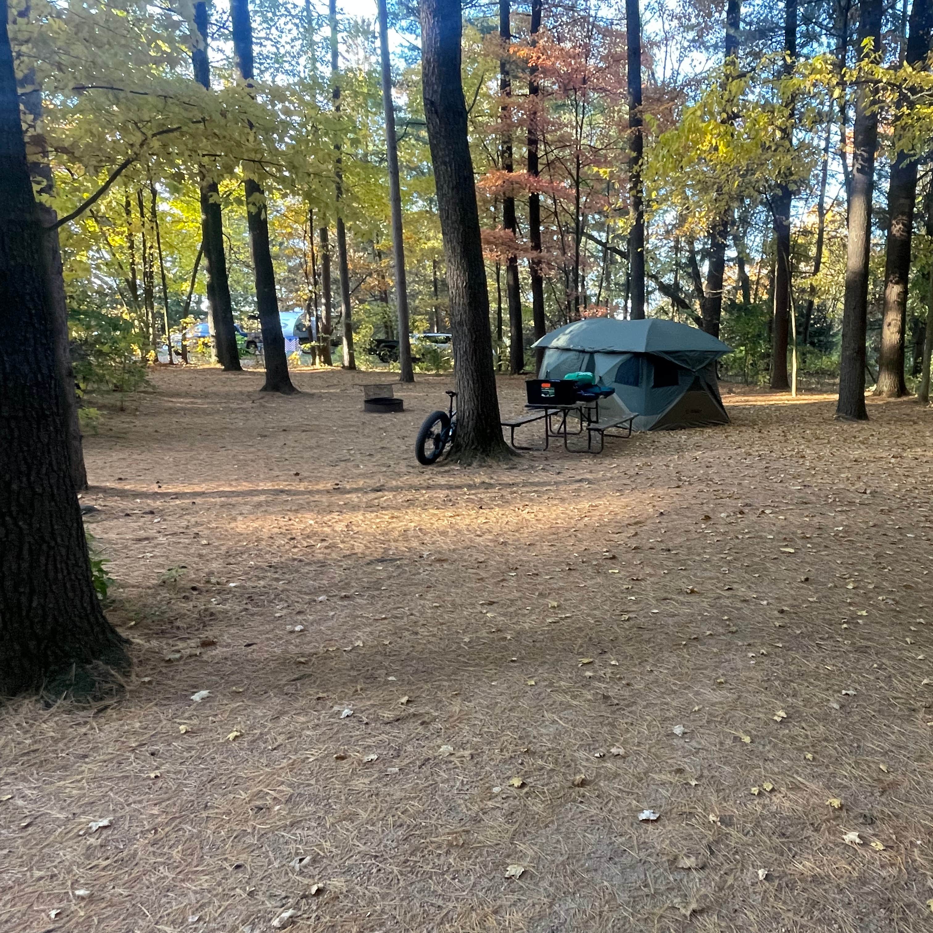 Lake Emily Park Camping | Nelsonville, Wisconsin