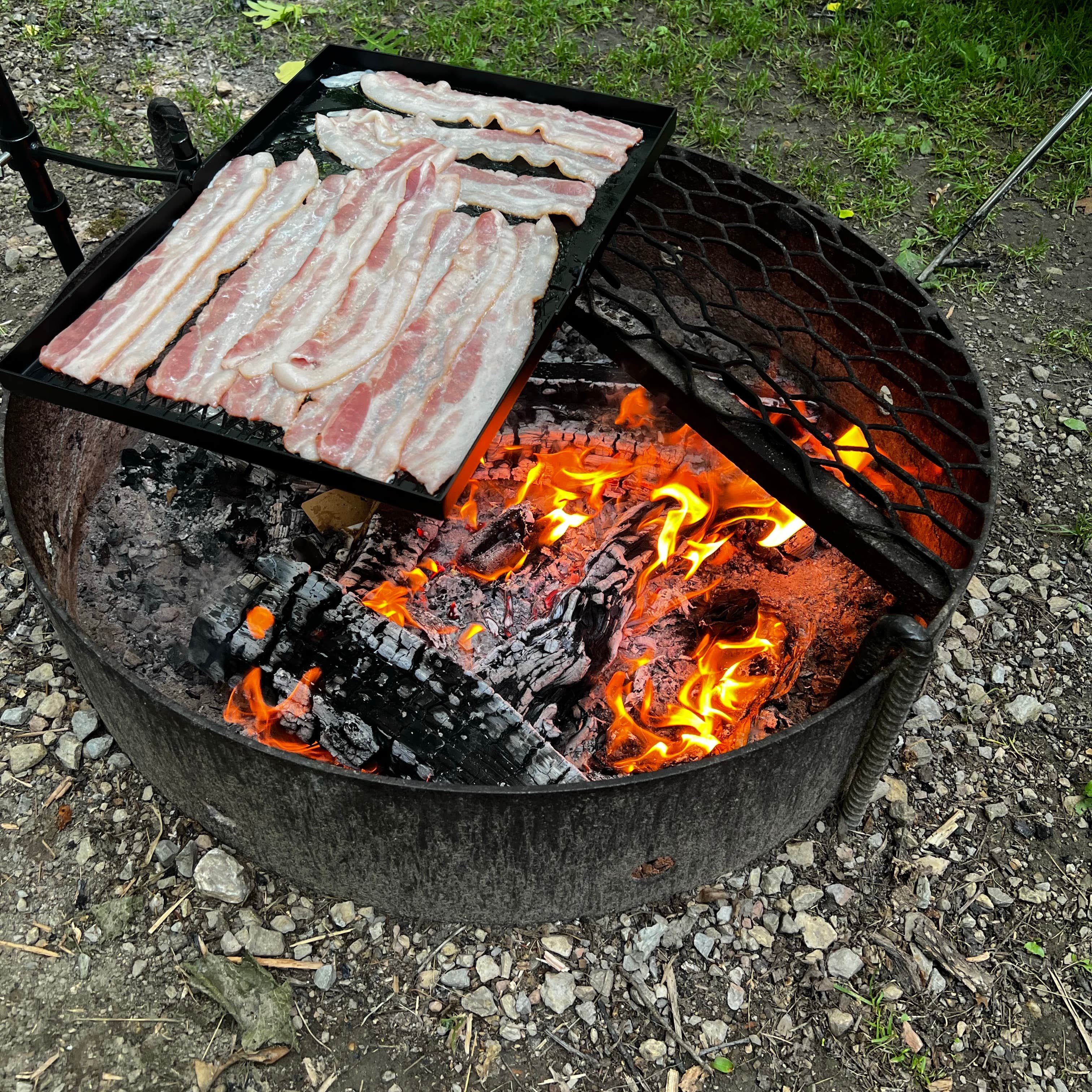 Lake Kegonsa State Park Campground | Stoughton, Wisconsin