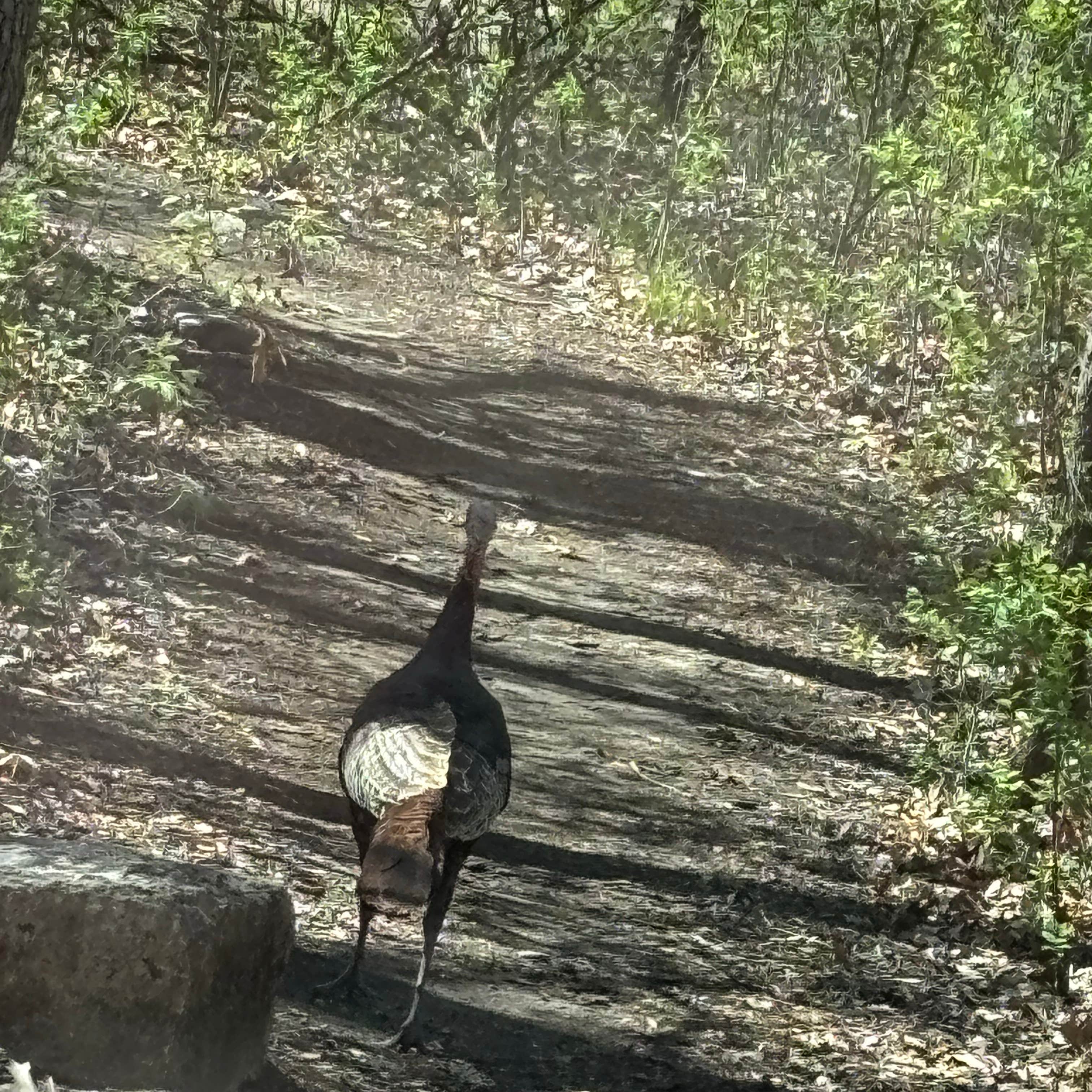 Naga-Waukee Park by Waukesha County Parks Camping | Delafield, Wisconsin