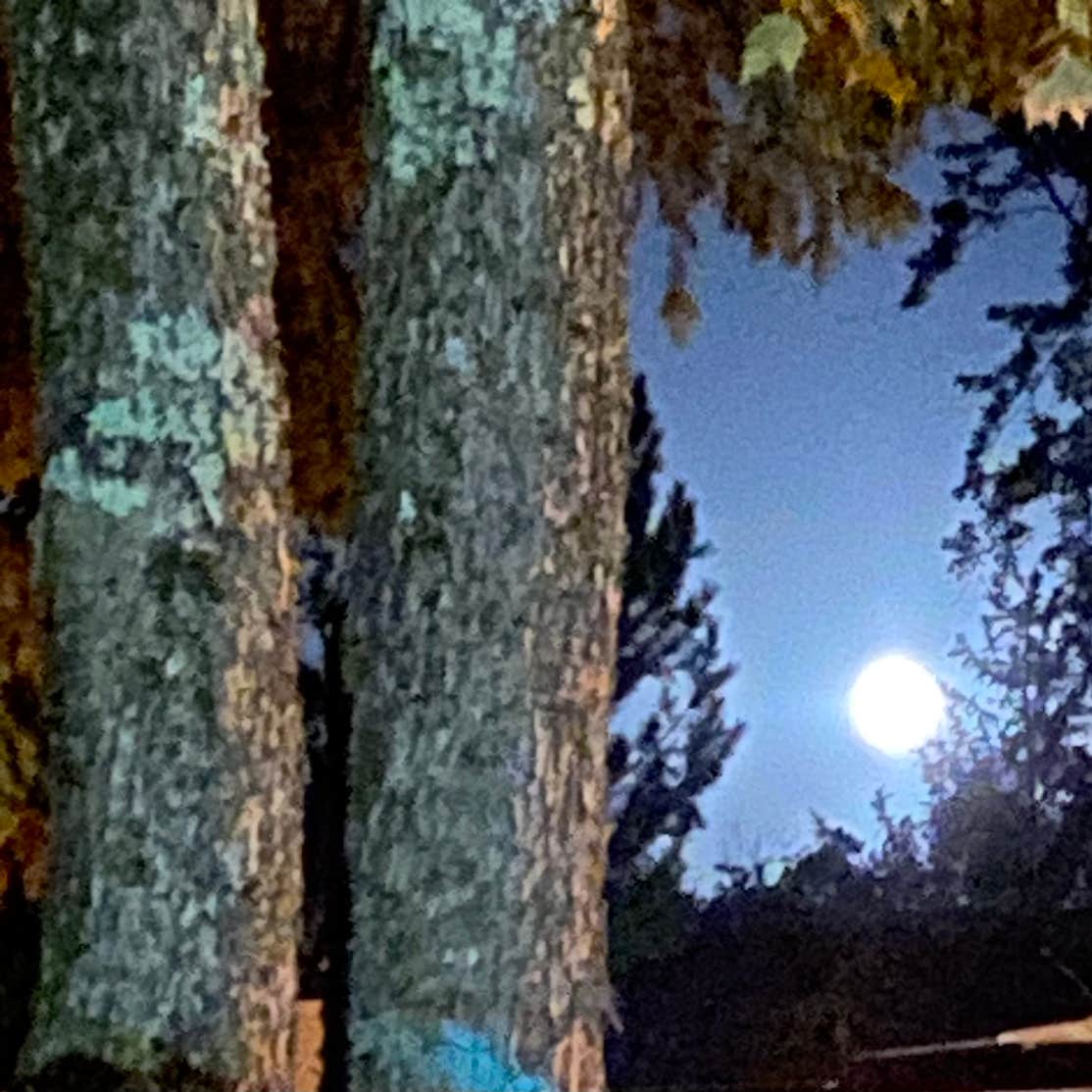 Upson Community Park Camping | Upson, Wisconsin