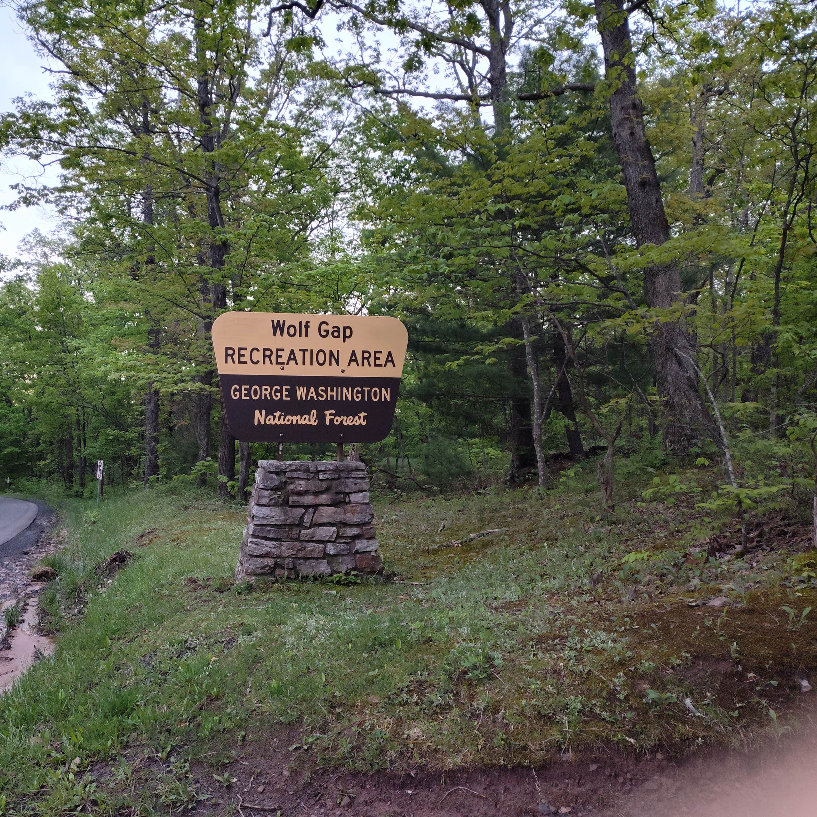 Wolf Gap Camping | Basye, Virginia