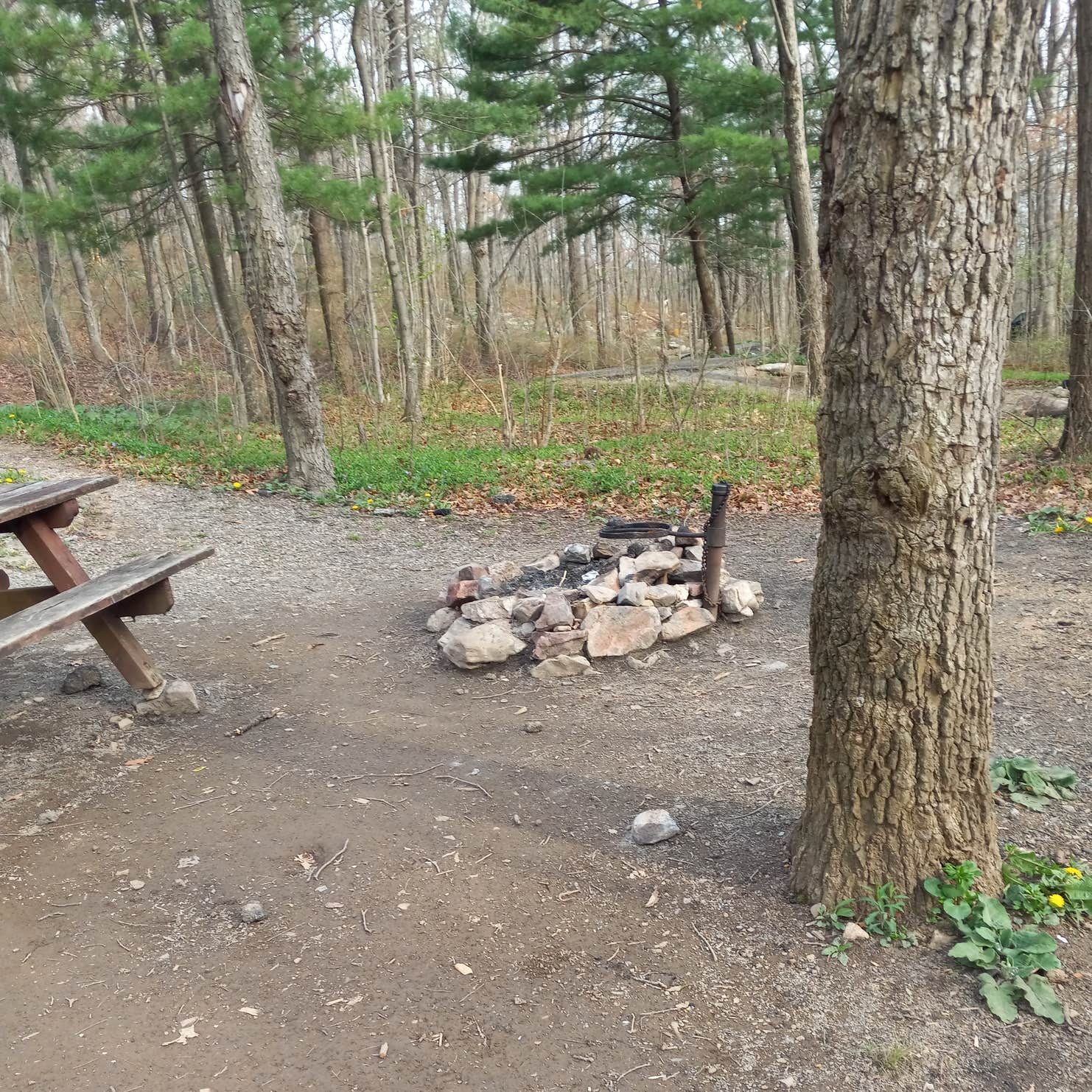 Wolf Gap Camping | Basye, Virginia