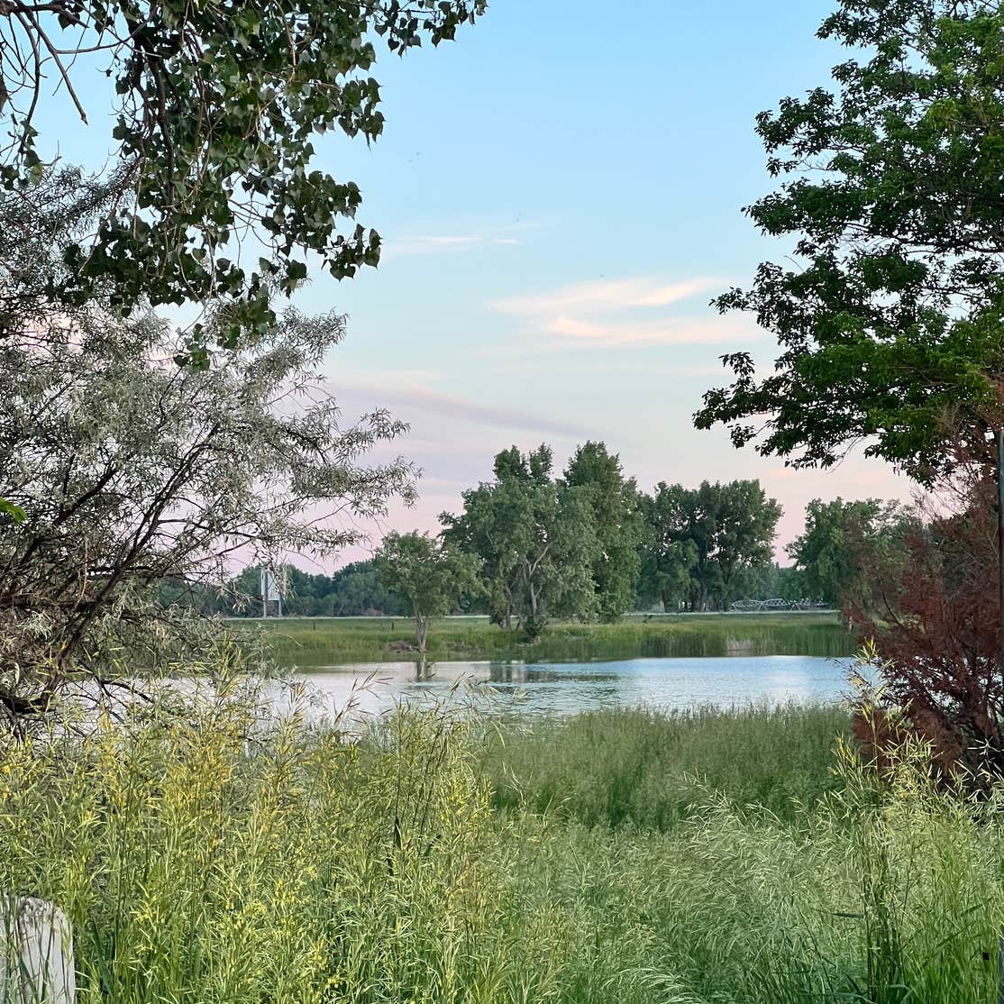 Wood River West State Wildlife Management Area Camping | Alda, Nebraska