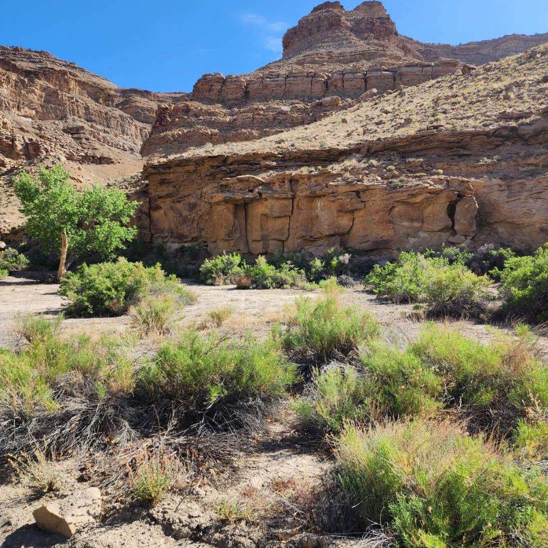 Woodside Lower Price River Road Dispersed Camping | Green River, Utah