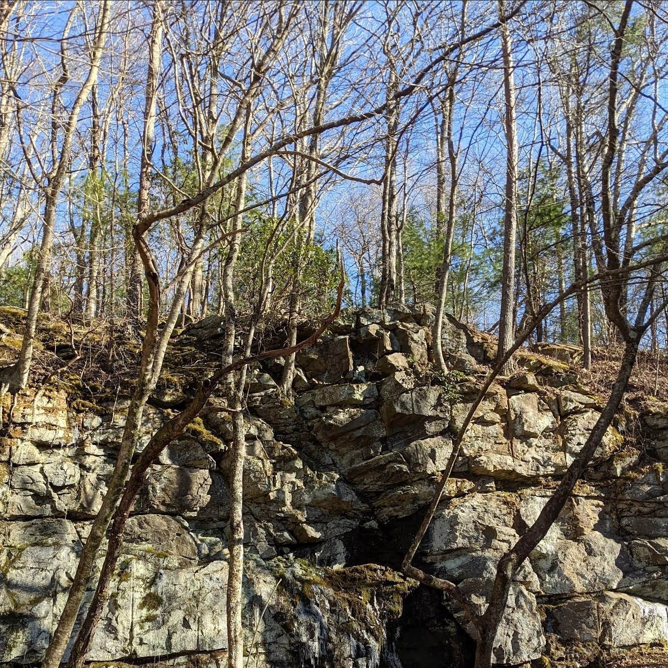 Woody Gap Campground - Appalachian Trail | Suches, Georgia