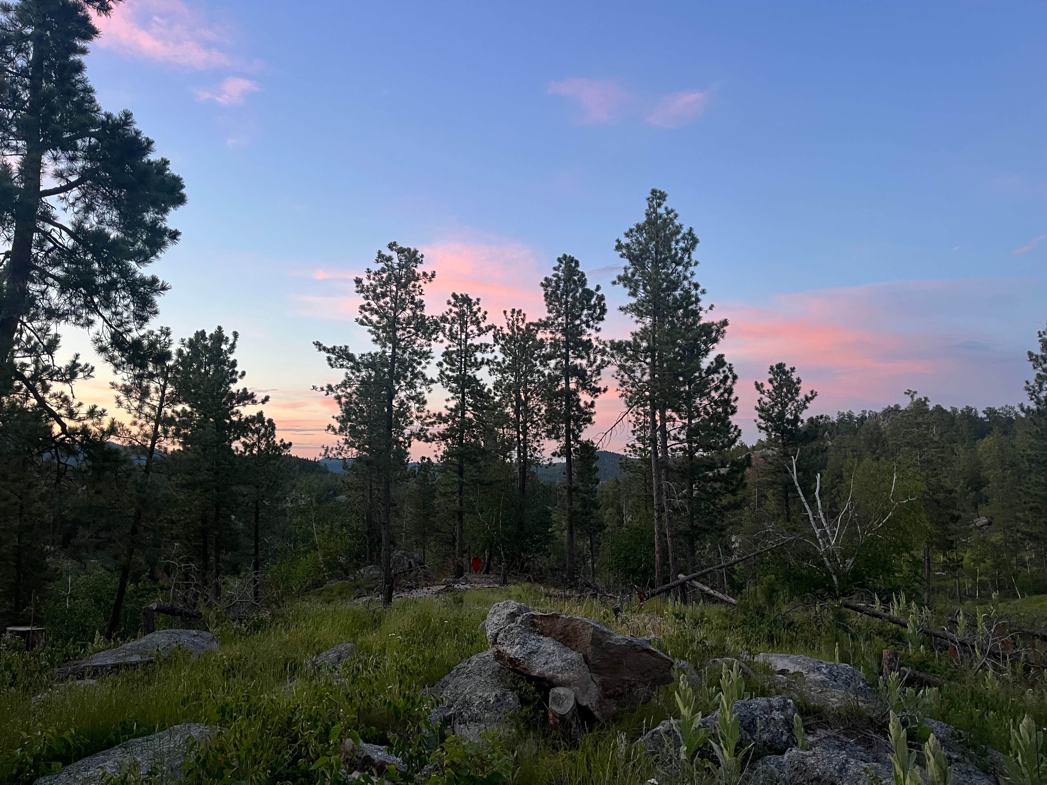Wrinkled Rock Trailhead Camping | Keystone, SD