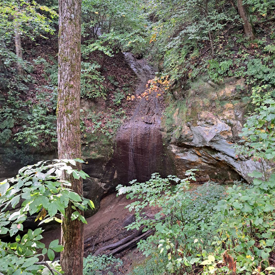 Wyalusing State Park Campground | Bagley, WI
