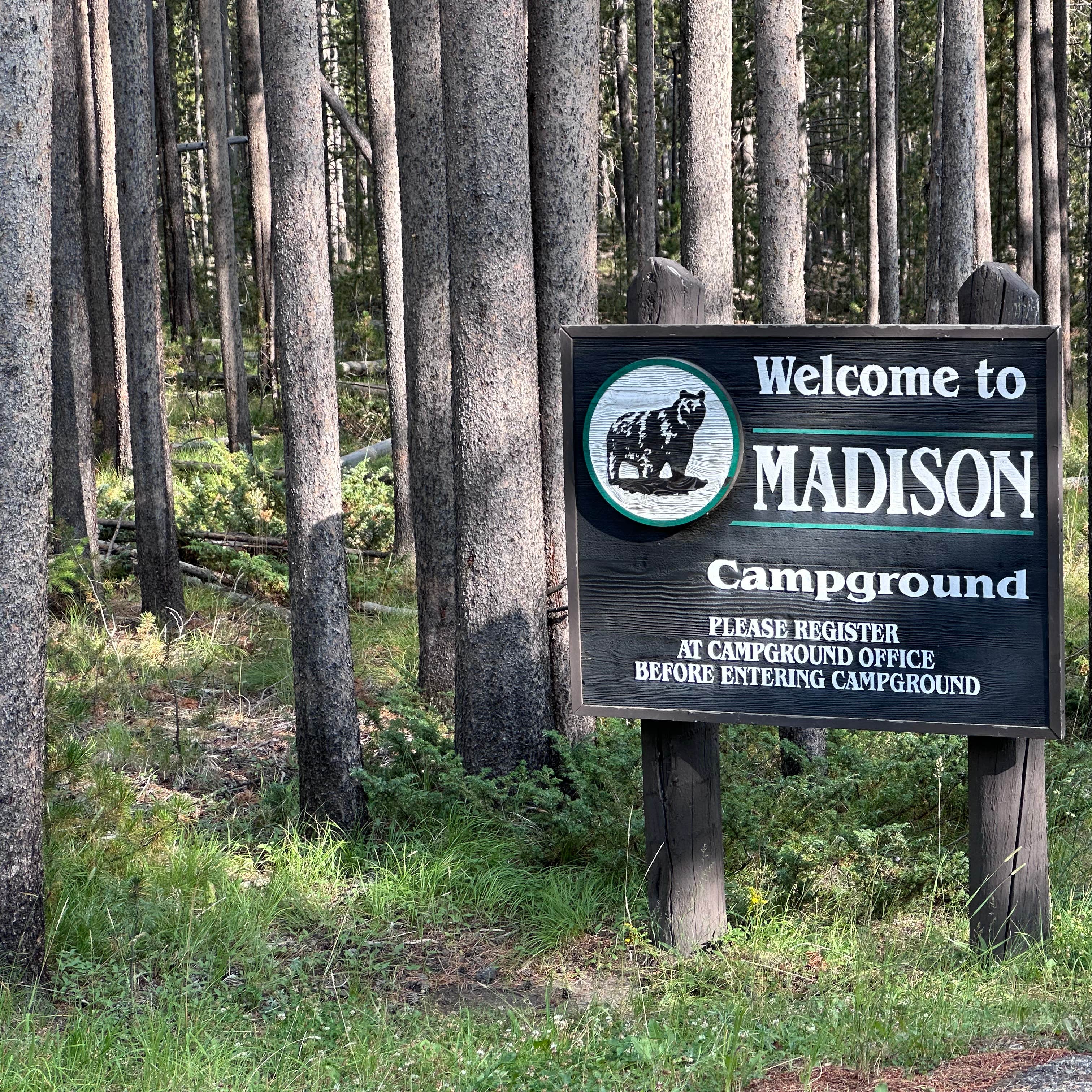 Madison Campground — Yellowstone National Park | West Yellowstone, Montana
