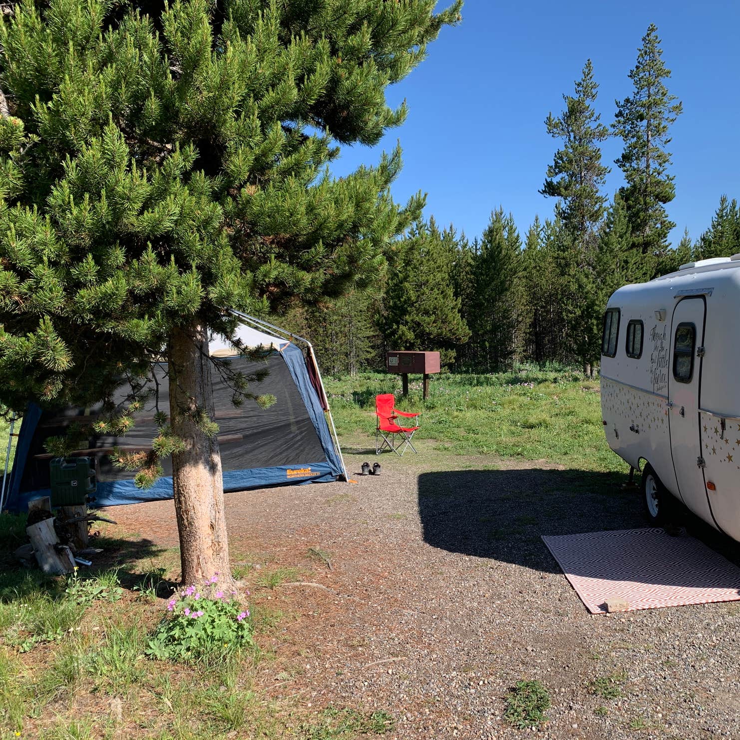 Sheffield Campground | John D. Rockefeller Jr. Memorial Parkway, Wyoming